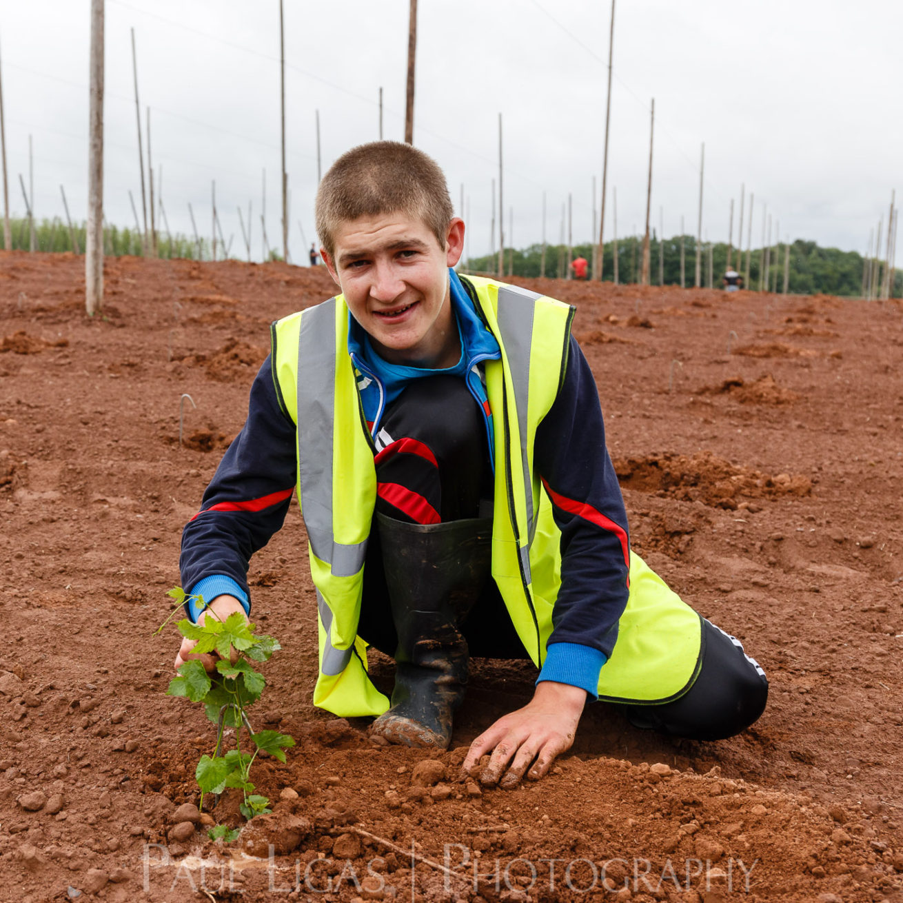 Photographs from a year on a Herefordshire hop farm